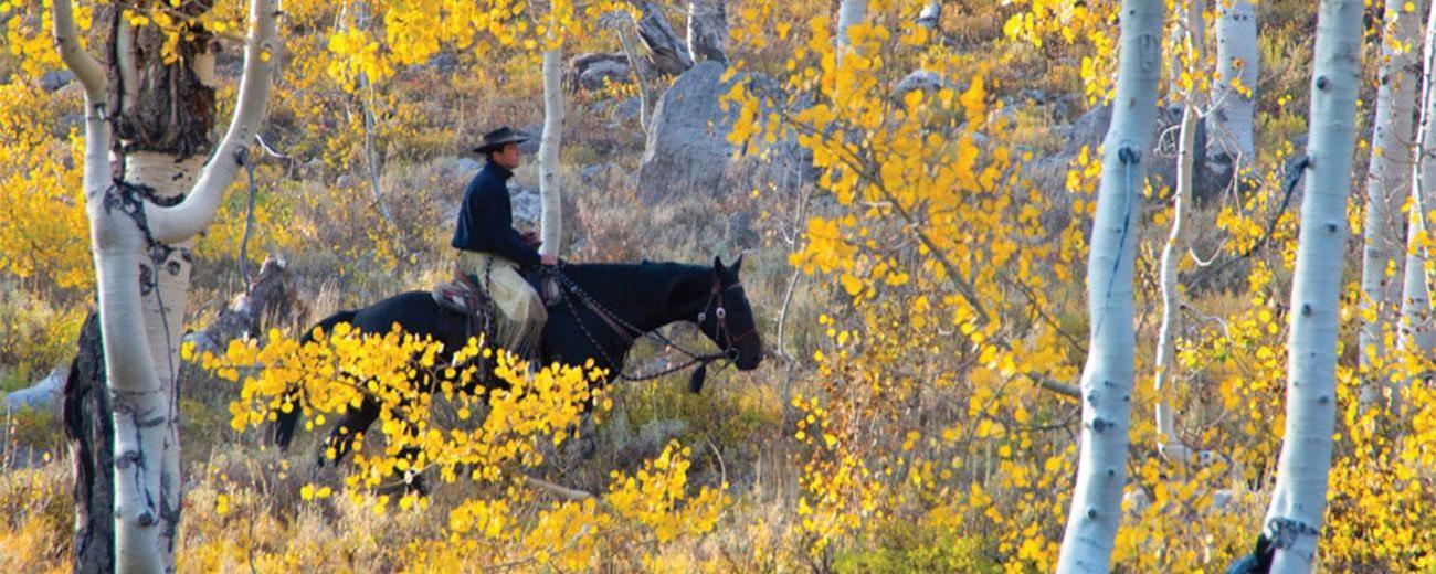 Logan - Cache Valley, Utah